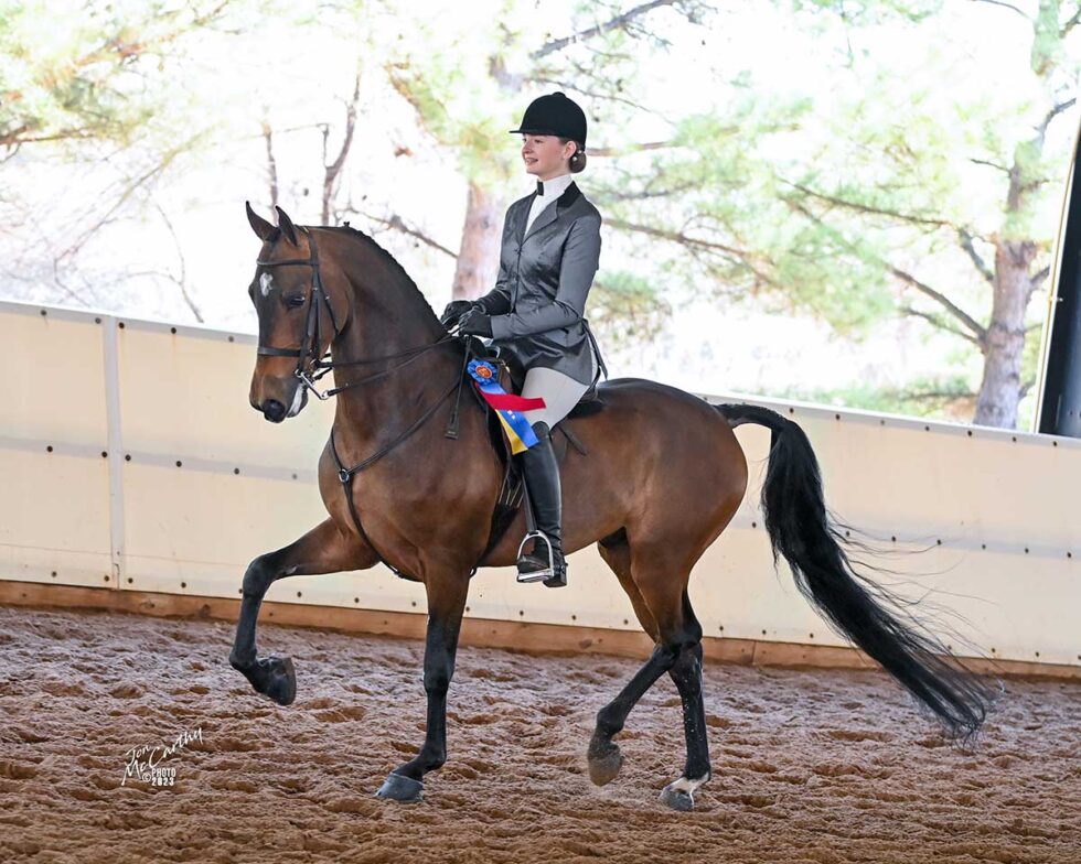 Cottonwood Creek Ranch | Horseback Riding Lessons | Horse Training